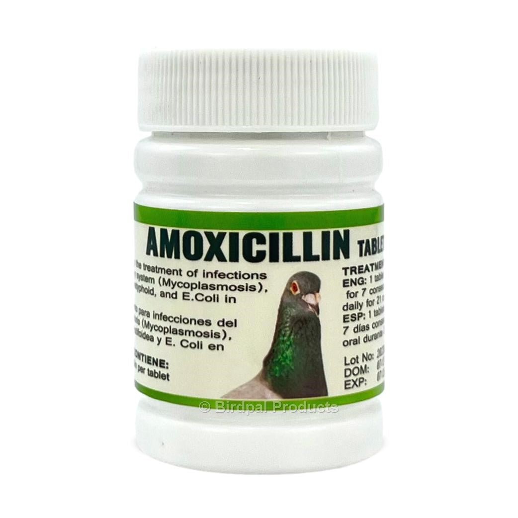 Amoxicillin 10mg Oral Tablets for Birds
