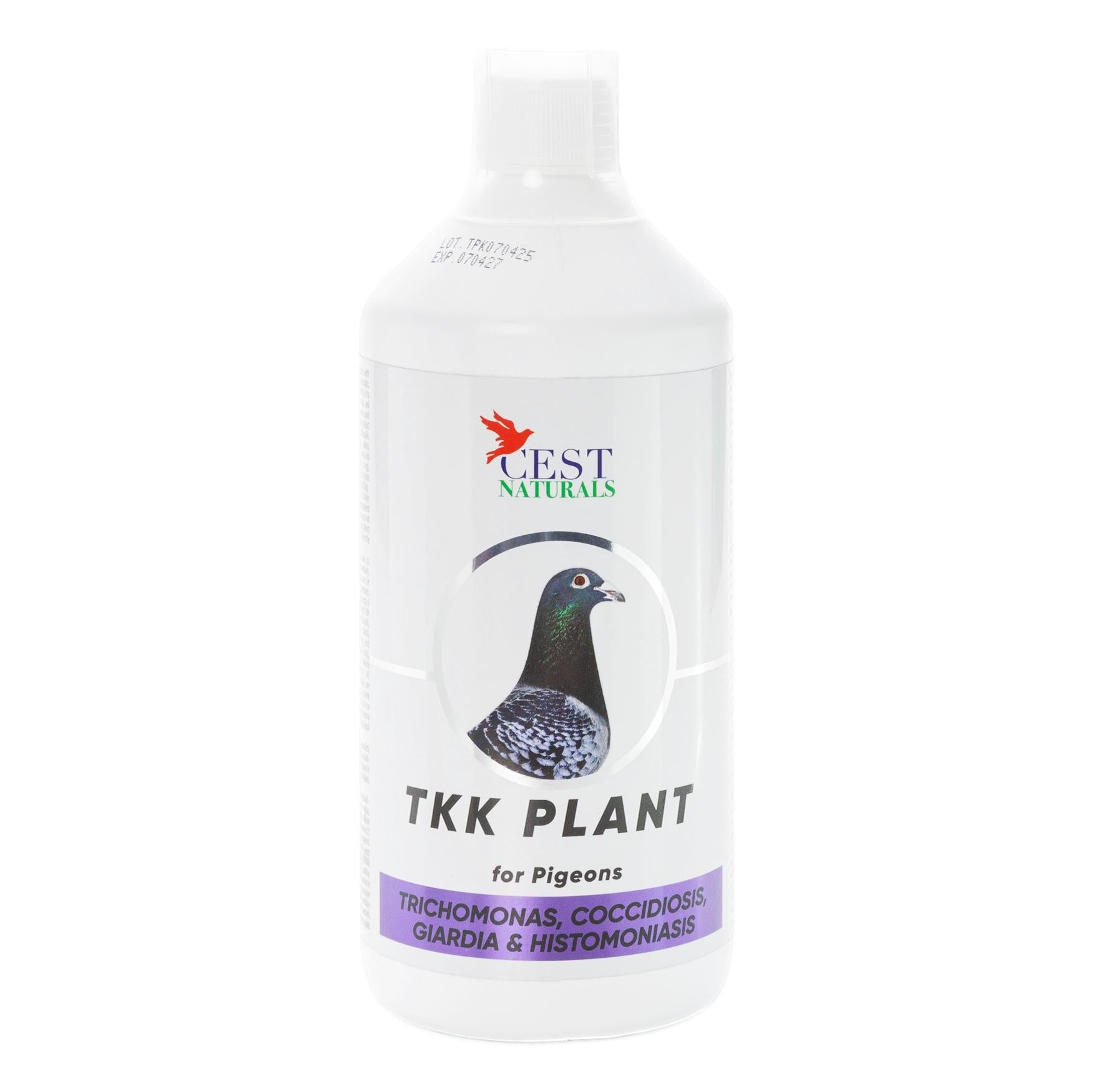 Cest TKK Plant - All-Natural Solution for Pigeon Diseases