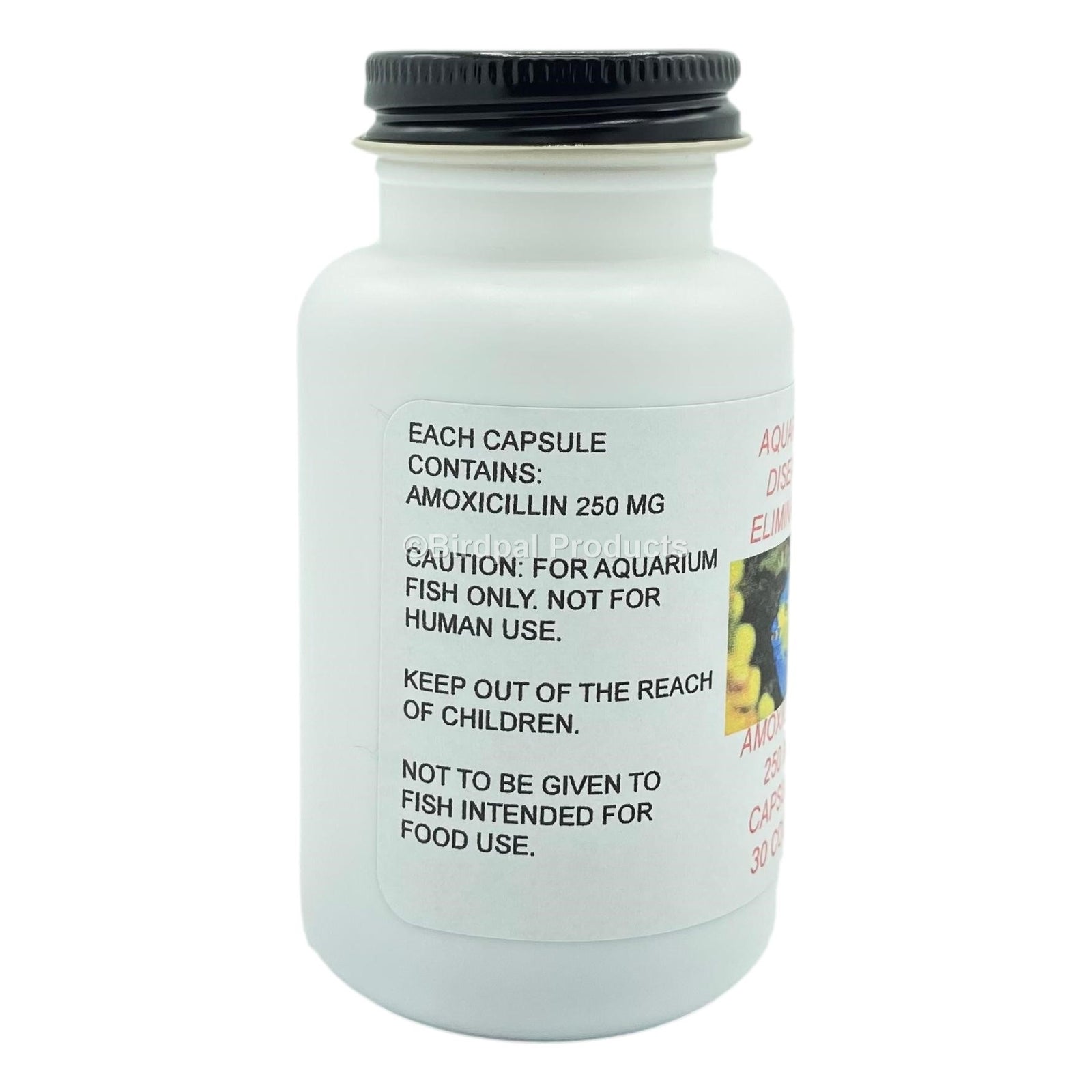 Amoxicillin Capsules for Birds - 250 mg
