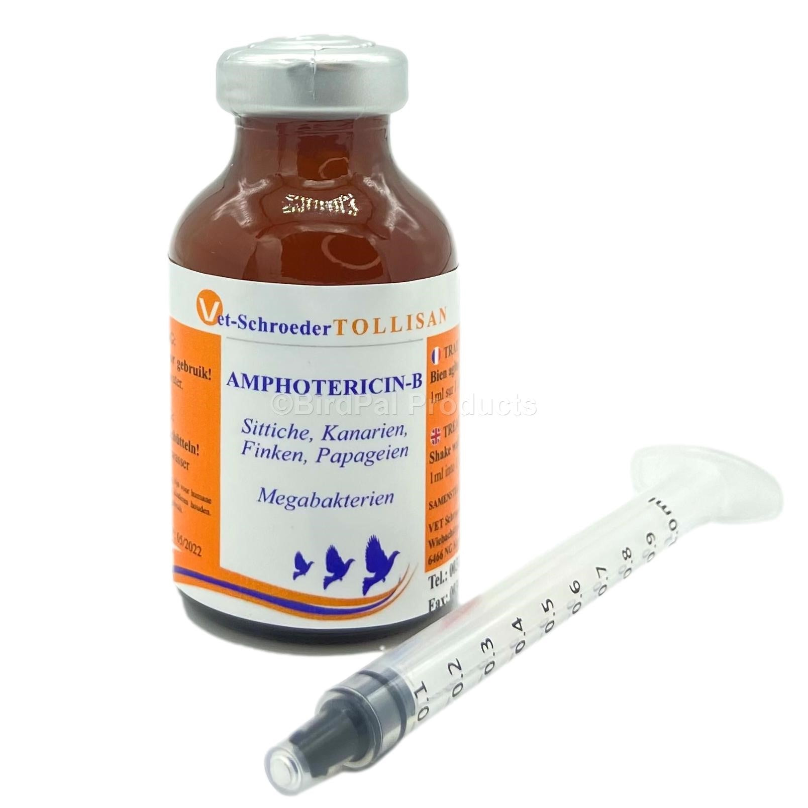 Fungizone Preparation, Characterization, And Evaluation Of